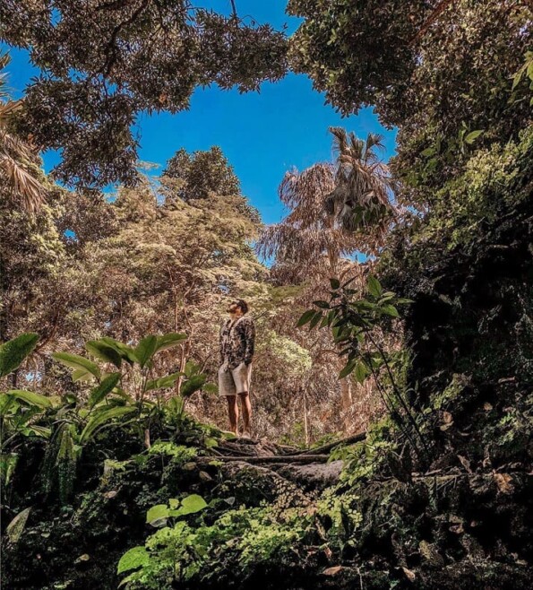 Parque Lage: guia completo para visitar esse paraíso do Rio