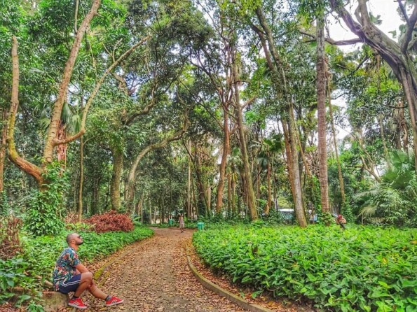 Parque Lage: guia completo para visitar esse paraíso do Rio