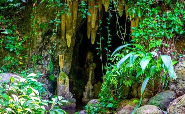 Parque Lage: guia completo para visitar esse paraíso do Rio