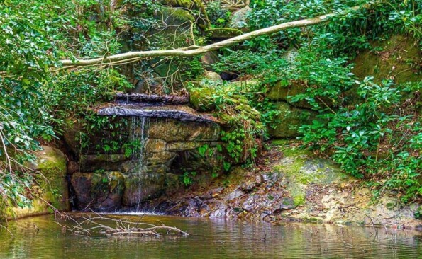 Parque Lage: guia completo para visitar esse paraíso do Rio