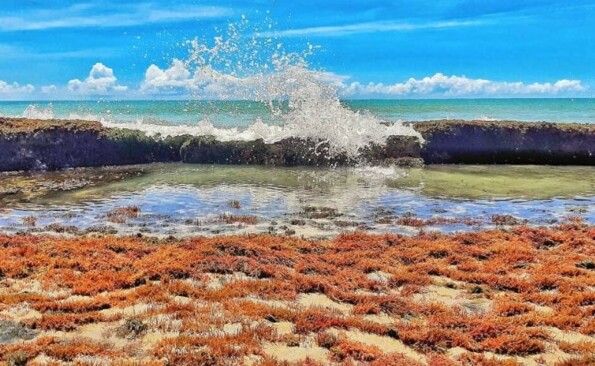 Praia de Boa Viagem: dicas e 10 fotos dessa atração de Recife