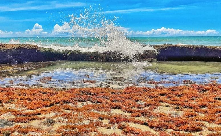 Praia de Boa Viagem: dicas e 10 fotos dessa atração de Recife
