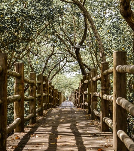 Mucuri: conheça as praias mais belas do litoral sul da Bahia
