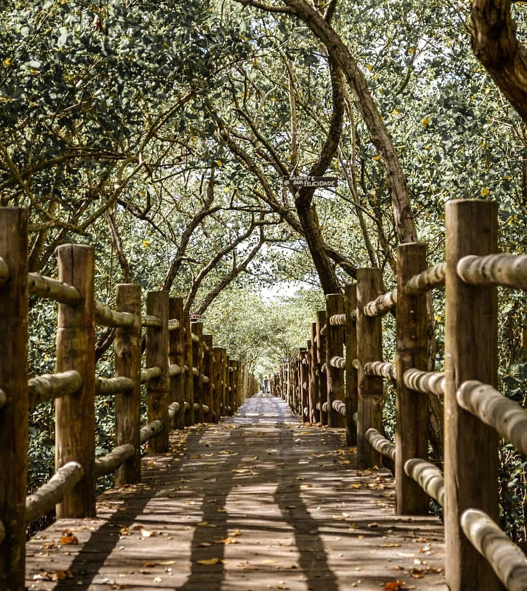 Mucuri: conheça as praias mais belas do litoral sul da Bahia