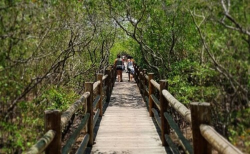 Mucuri: conheça as praias mais belas do litoral sul da Bahia