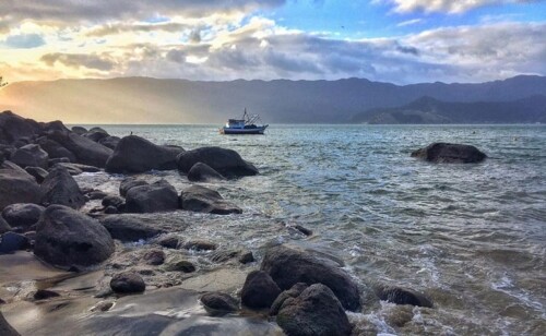 Praia do Curral: veja as melhores dicas para desfrutar desse paraíso