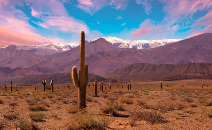 Salta: um guia completo para essa incrível cidade da Argentina - Jornal ...