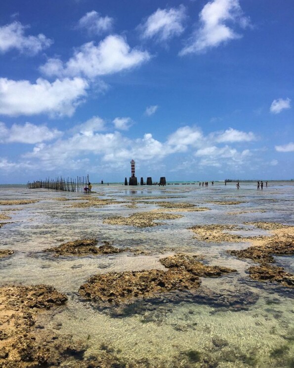 Praia de Ponta Verde: uma inesquecível orla urbana em Maceió