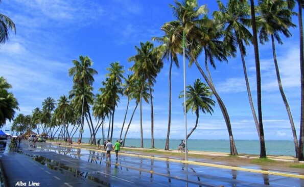 Praia de Ponta Verde: uma inesquecível orla urbana em Maceió