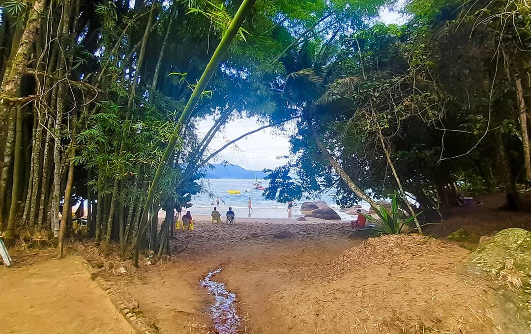 Praia do Cedro: dicas, imagens e vídeos da atração de Ubatuba