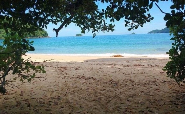 Praia do Cedro: dicas, imagens e vídeos da atração de Ubatuba