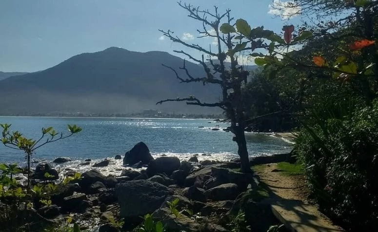 Praia do Cedro: dicas, imagens e vídeos da atração de Ubatuba