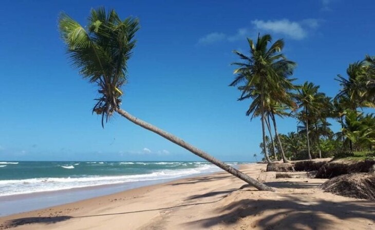 Taipu de Fora: descubra os encantos incríveis desse destino