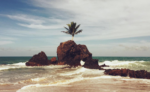 Tambaba: se apaixone por esse paraíso naturista brasileiro