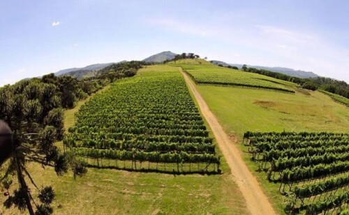 Urupema: destino que une frio e natureza na Serra Catarinense
