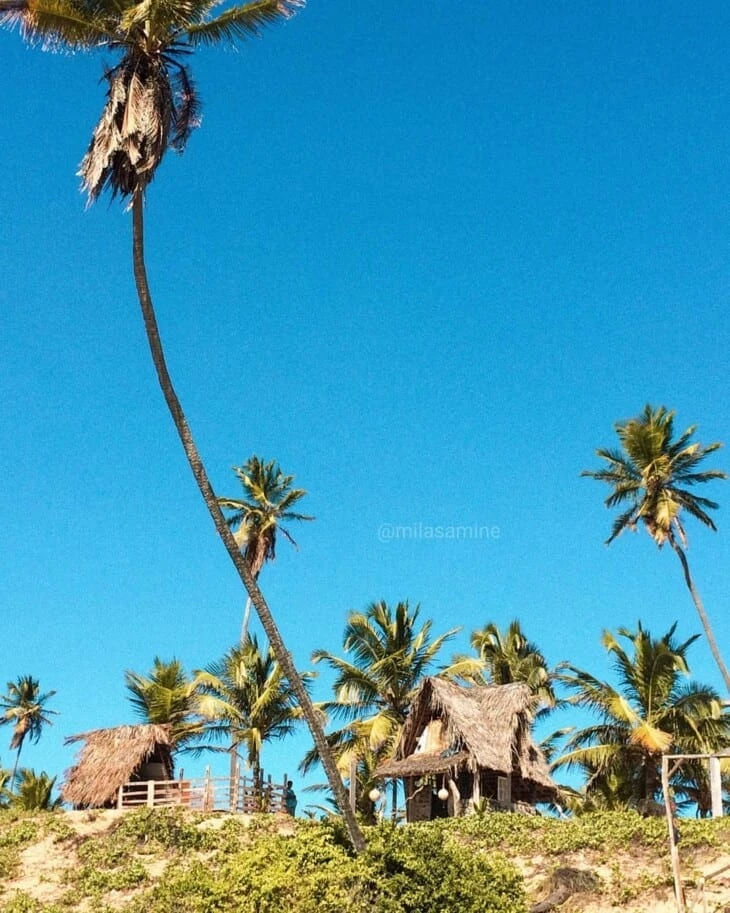 Arembepe: um destino paradisíaco de paz e amor no litoral baiano