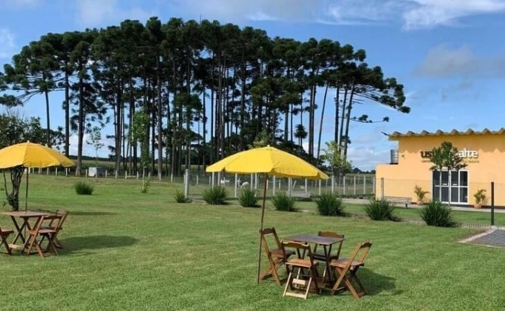 Colônia Witmarsum: conheça atrações incríveis nessa região