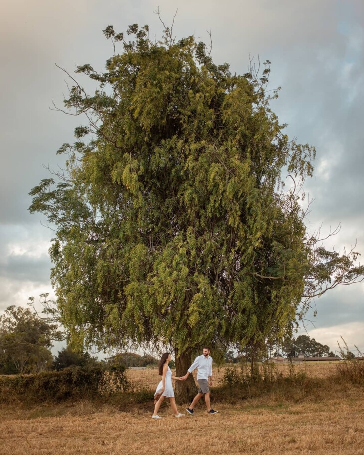 Colônia Witmarsum: conheça atrações incríveis nessa região