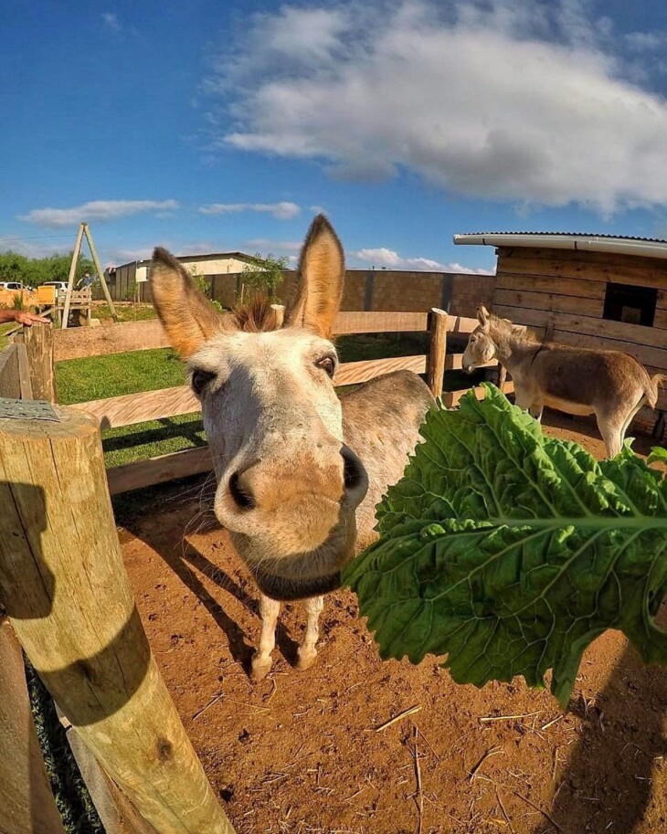 Colônia Witmarsum: conheça atrações incríveis nessa região