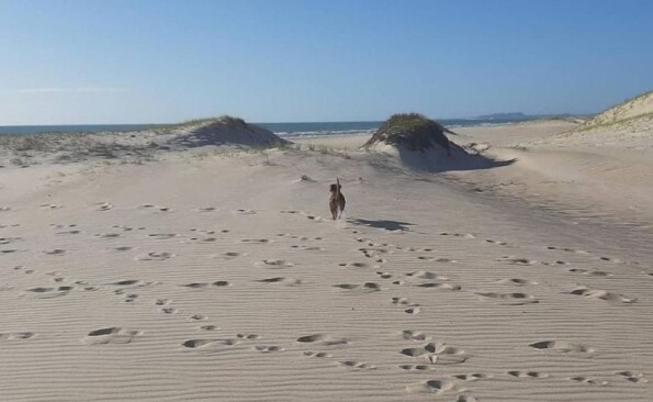 Porto das Dunas: conheça cenários naturais incríveis nessa atração