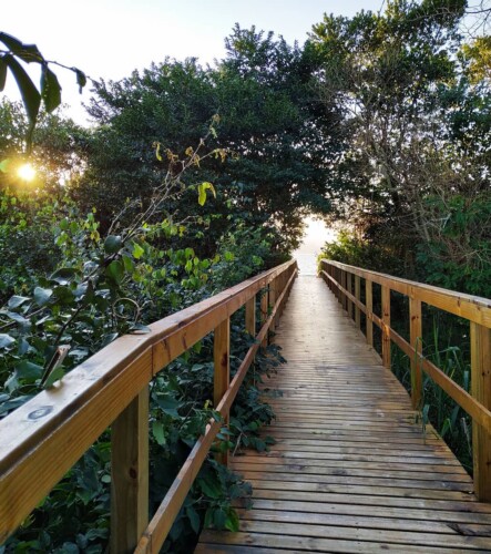 Praia da Daniela: descubra atrações incríveis nesse destino