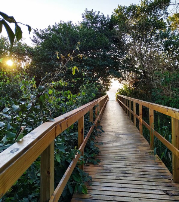 Praia da Daniela: descubra atrações incríveis nesse destino
