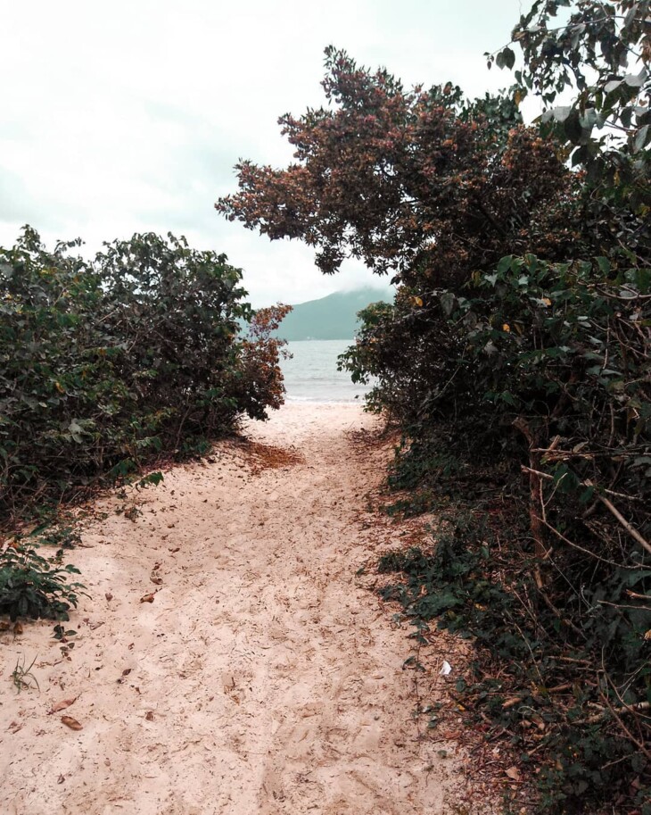 Praia da Daniela: descubra atrações incríveis nesse destino