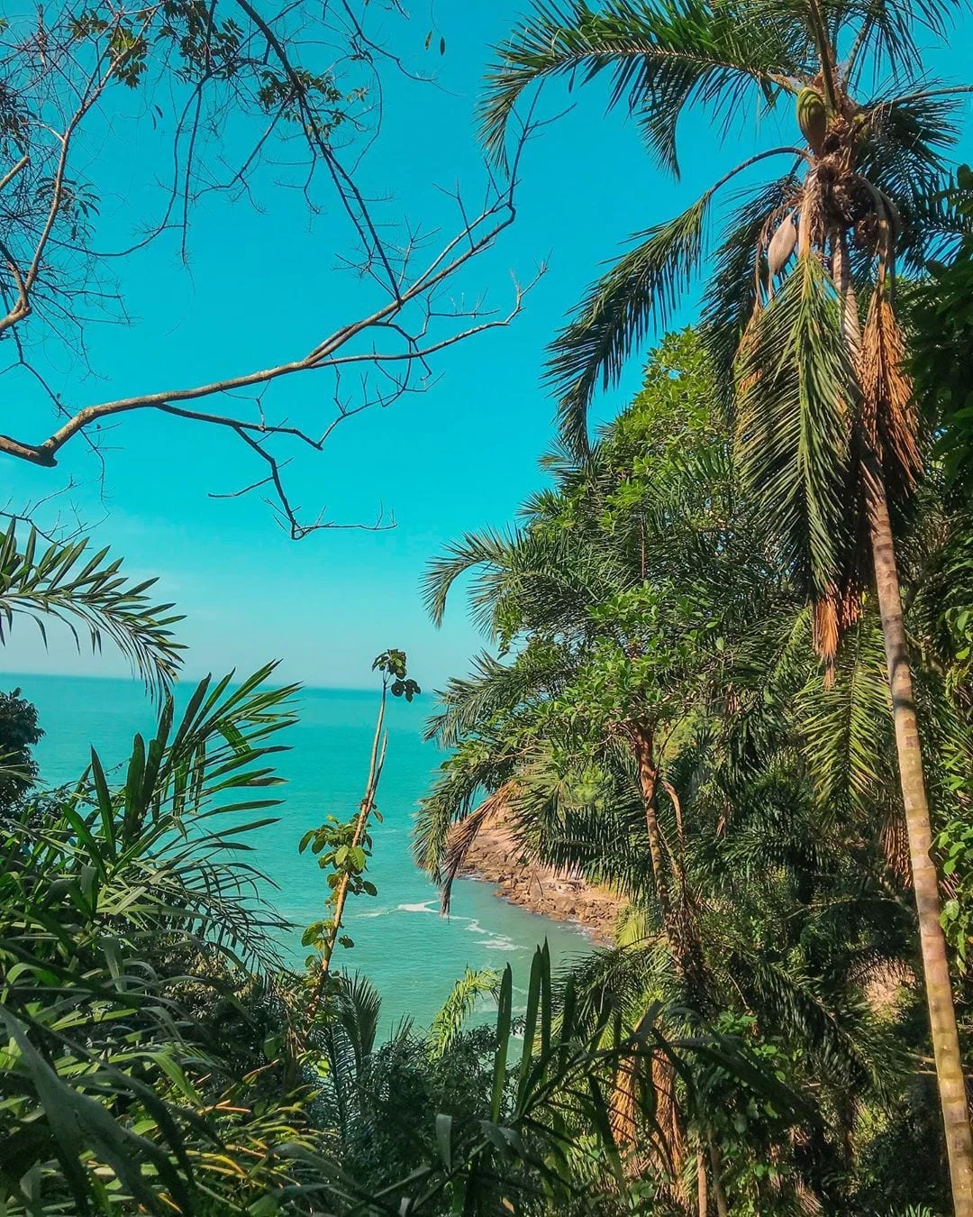 Praia do Éden: uma praia verdadeiramente paradisáica no litoral paulista