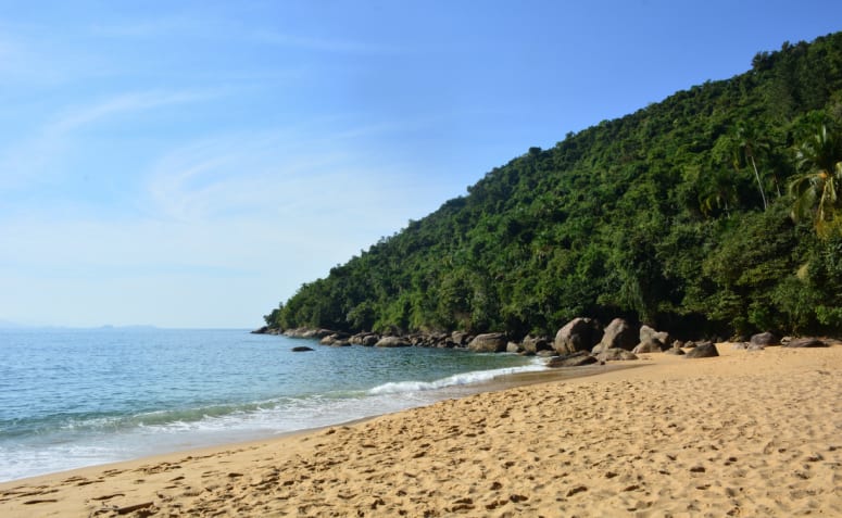 Praia do Cedro: dicas, imagens e vídeos da atração de Ubatuba