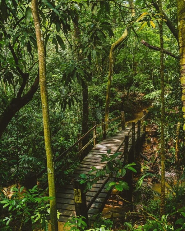 Ubajara: saiba como aproveitar este belo paraíso do interior do Ceará