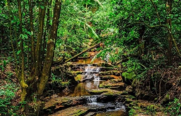 Ubajara: saiba como aproveitar este belo paraíso do interior do Ceará