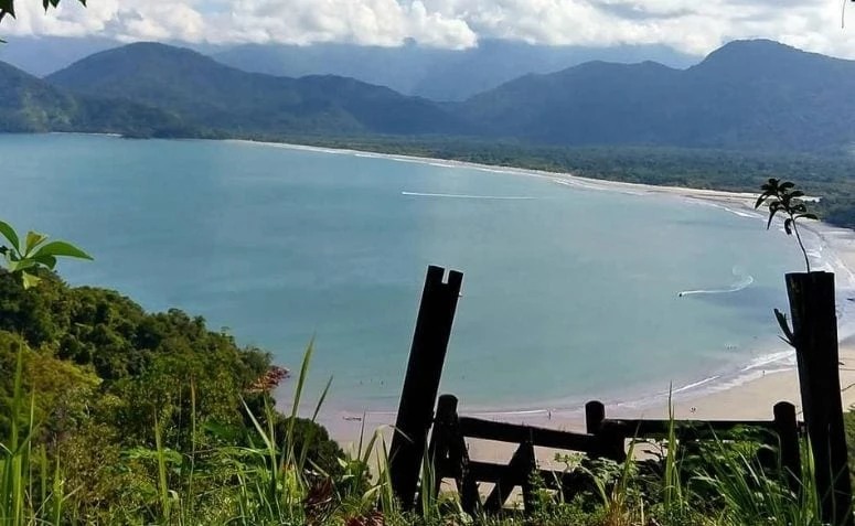 Picinguaba: dicas, imagens e vídeos do belo atrativo de Ubatuba