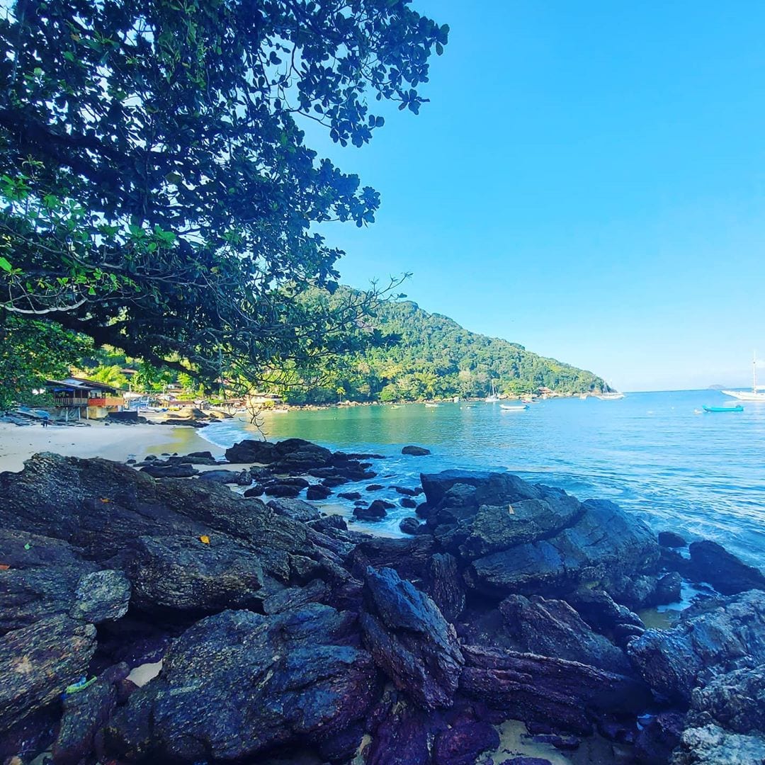 Picinguaba: dicas, imagens e vídeos do belo atrativo de Ubatuba
