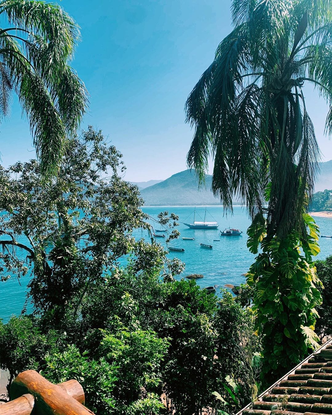 Picinguaba: dicas, imagens e vídeos do belo atrativo de Ubatuba