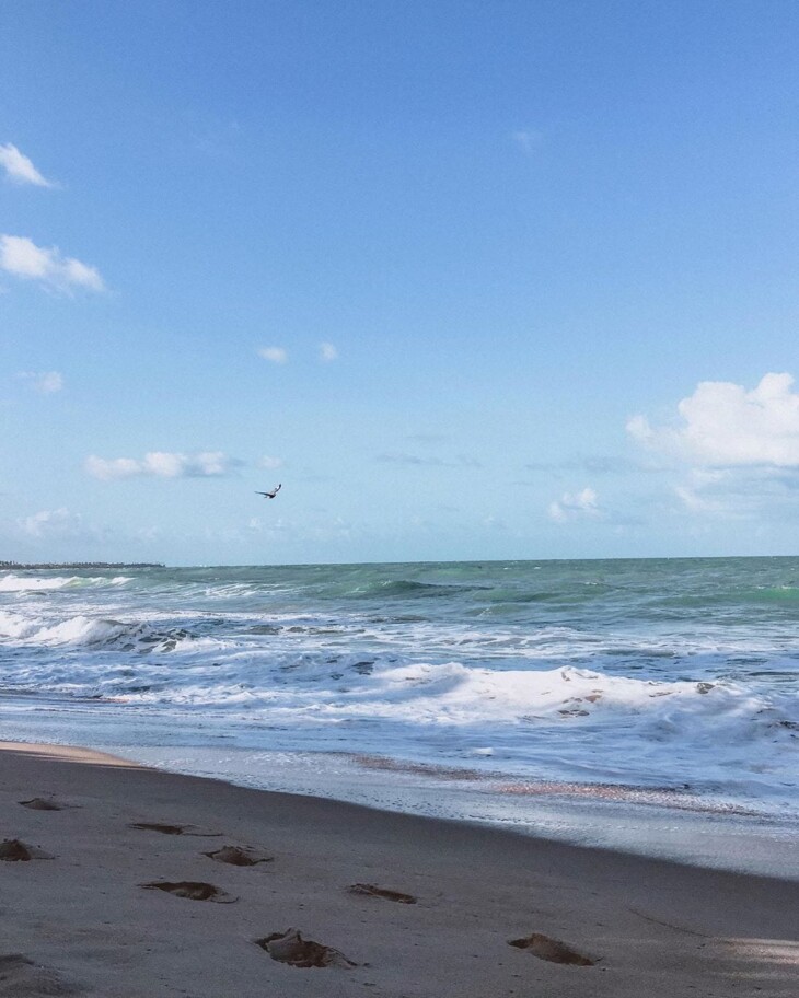 Praia do Cupe: conheça as belezas incríveis do litoral de Pernambuco