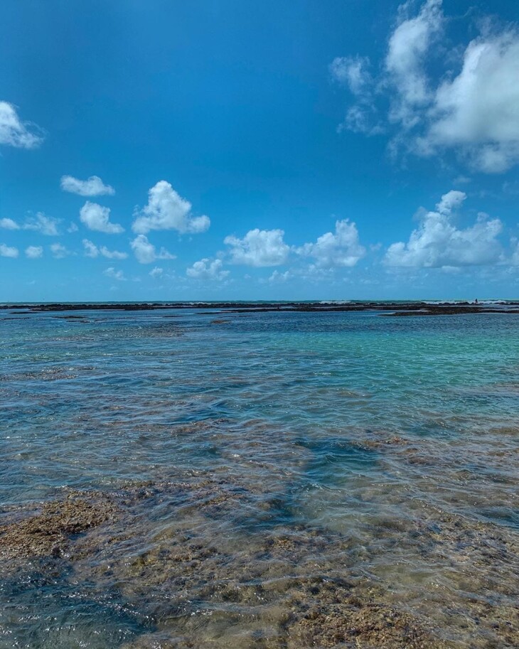 Praia do Cupe: conheça as belezas incríveis do litoral de Pernambuco