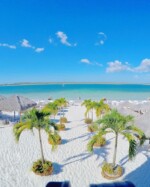 Praia do Preá: o que fazer nessa charmosa orla do litoral cearense