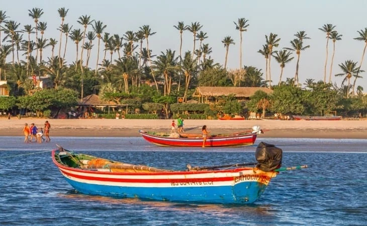 Praia do Preá: o que fazer nessa charmosa orla do litoral cearense
