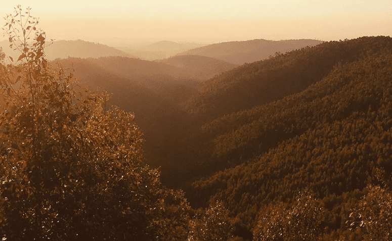 Serra do Japi: muita natureza e paz nessa parte da Mata Atlântica em SP