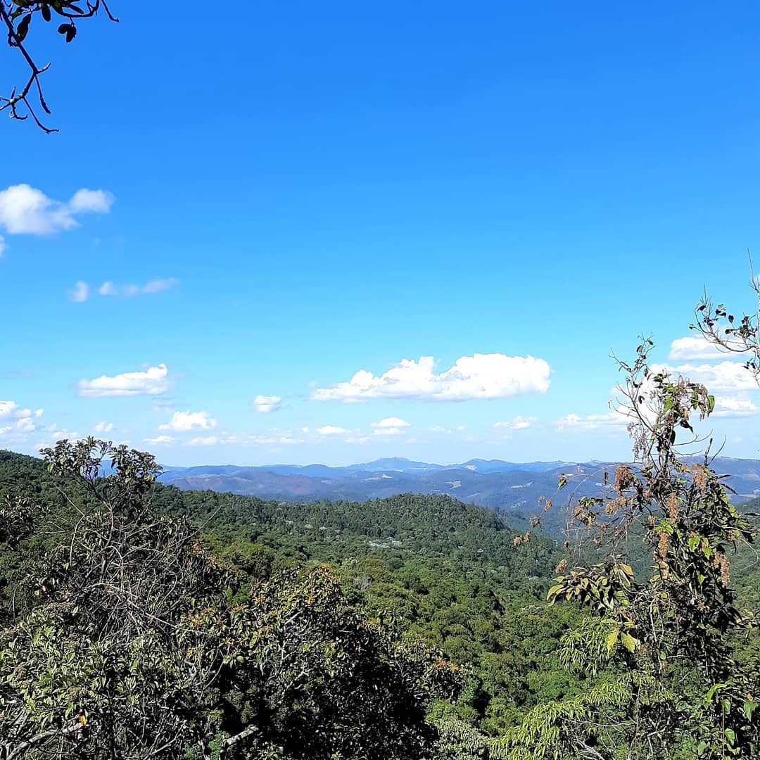 Serra Do Japi Muita Natureza E Paz Nessa Parte Da Mata Atlântica Em Sp