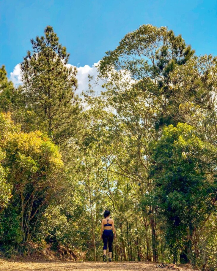 Serra do Japi: muita natureza e paz nessa parte da Mata Atlântica em SP