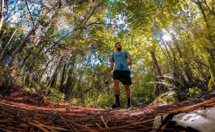 Serra do Japi: muita natureza e paz nessa parte da Mata Atlântica em SP