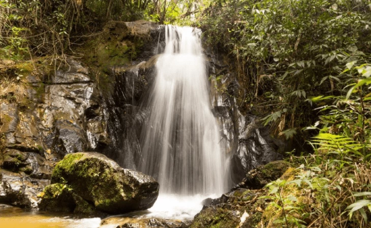 Serra do Japi: muita natureza e paz nessa parte da Mata Atlântica em SP