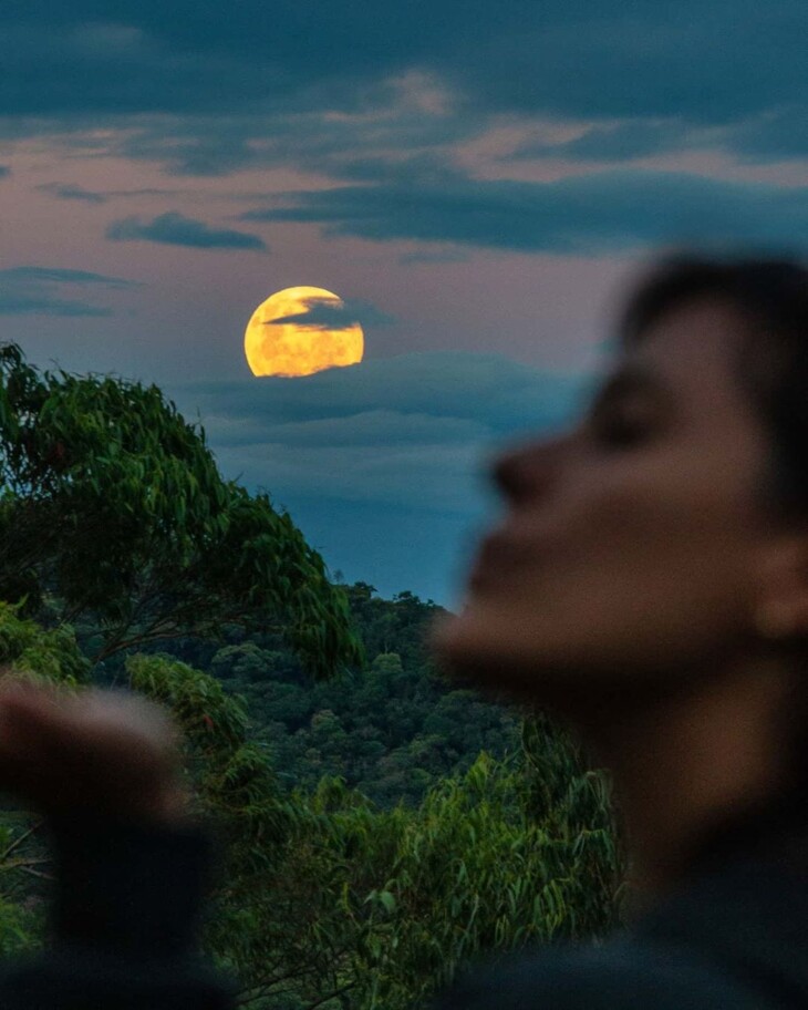 Serra do Japi: muita natureza e paz nessa parte da Mata Atlântica em SP