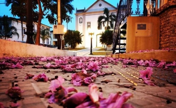 Bananal: confira passeios incríveis para fazer nas férias