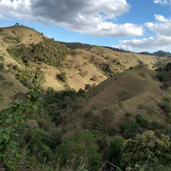 Cambuí: dicas, imagens e vídeos do pedaço feliz do sul de Minas