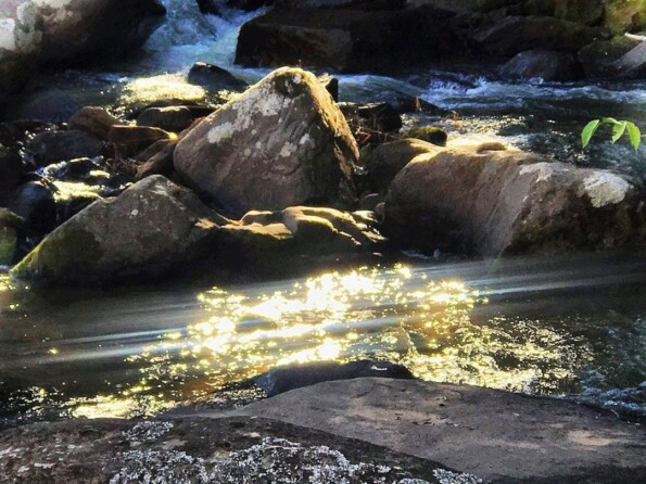 Cambuí: dicas, imagens e vídeos do pedaço feliz do sul de Minas