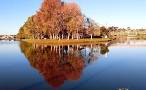 Castro (PR): informações, imagens e vídeos dessa bela cidade