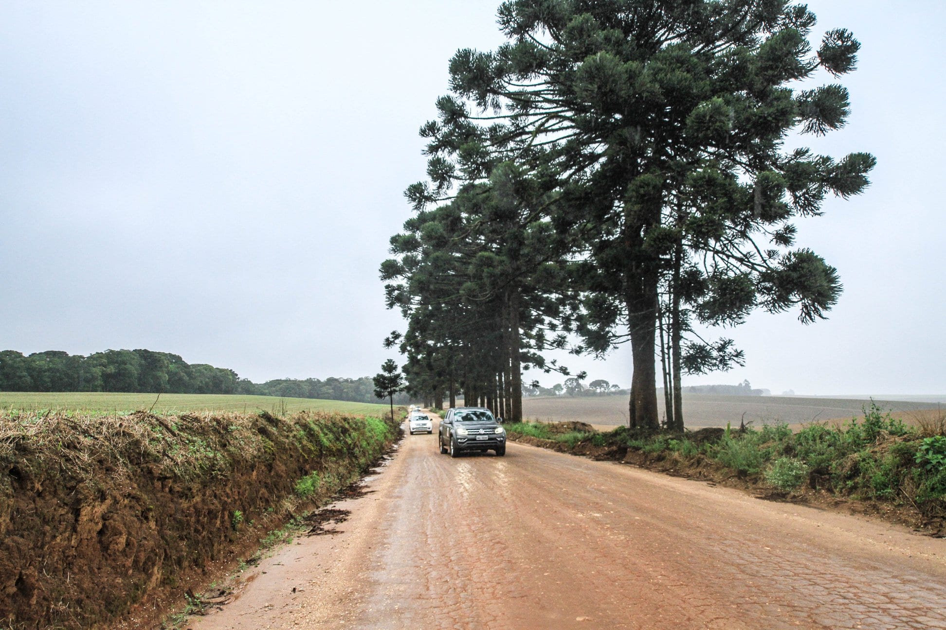 Castro (PR): informações, imagens e vídeos dessa bela cidade