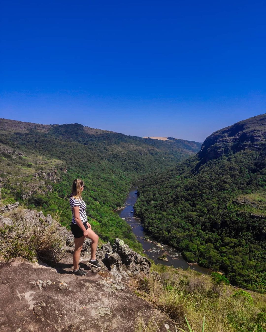 Castro (PR): informações, imagens e vídeos dessa bela cidade